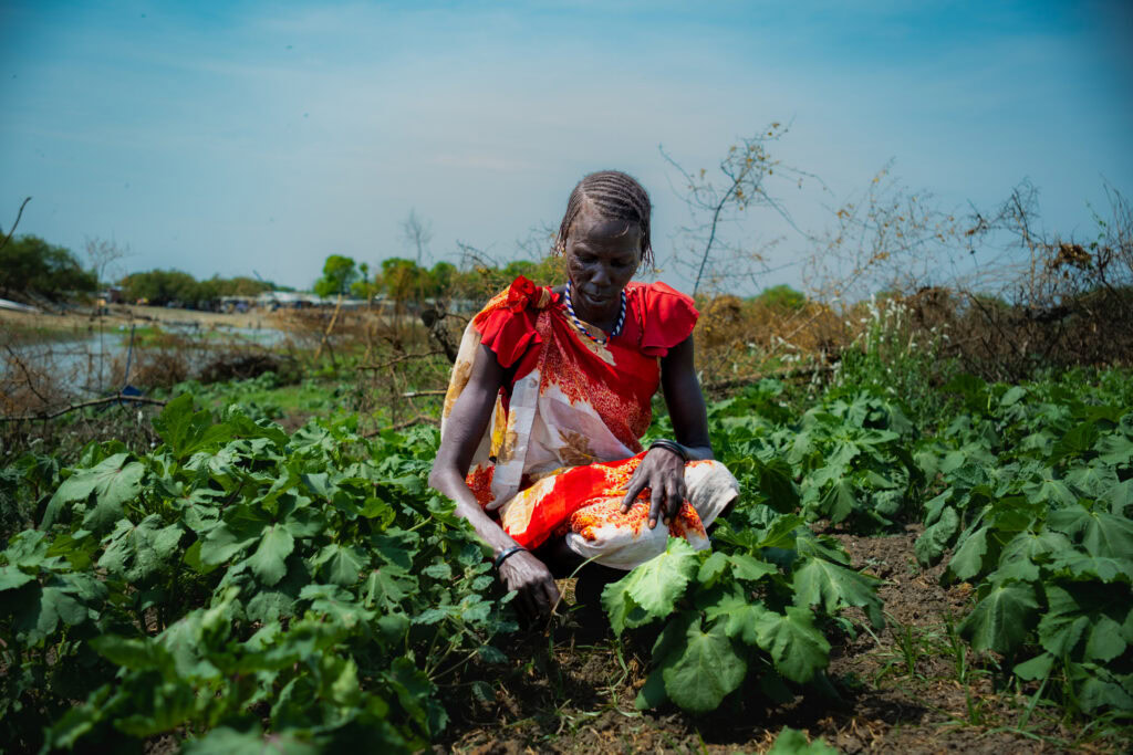 South Sudan Protracted Crisis Joint Response 2024-2026 | Dutch Relief ...